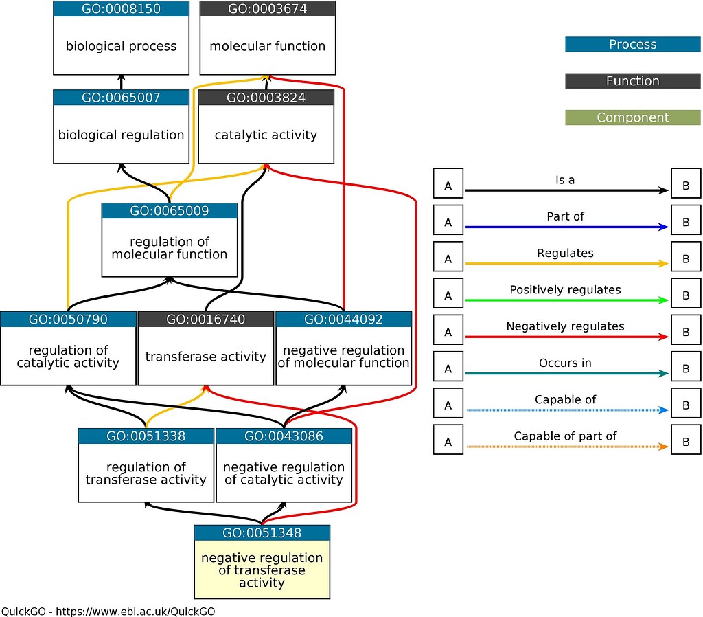 Calculating the "level" of a GO term - FAQ - Alliance of Genome ...
